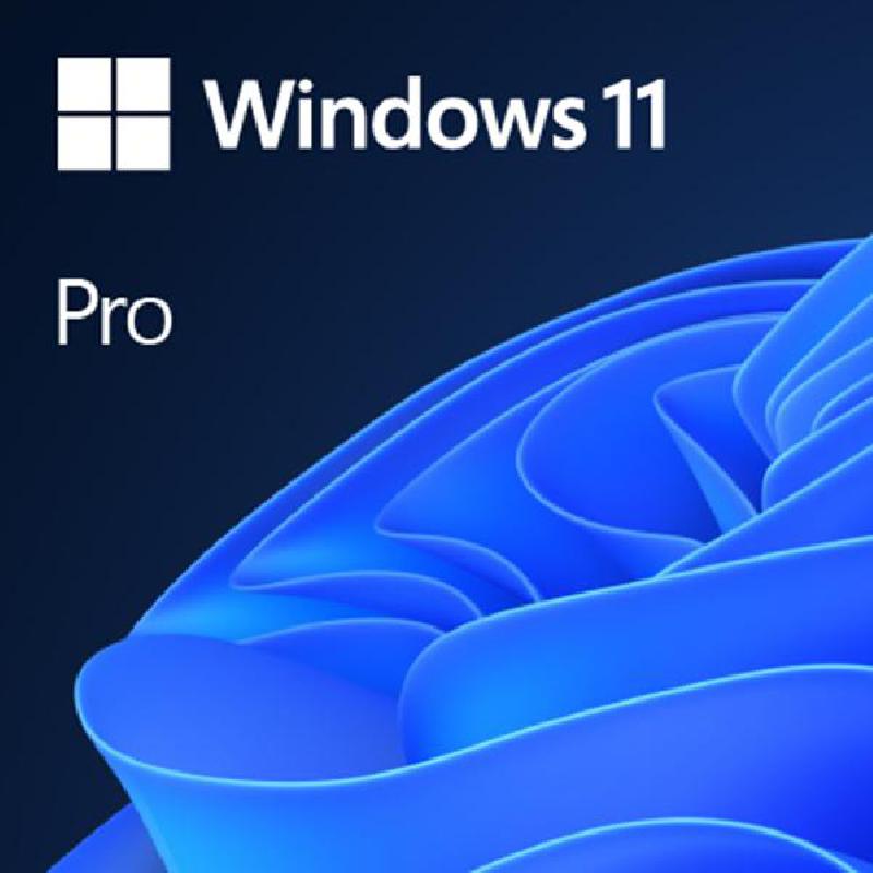 Microsoft Windows 11: Professional (64-bit) English 1 User CD/DVD - Jarir Bookstore KSA