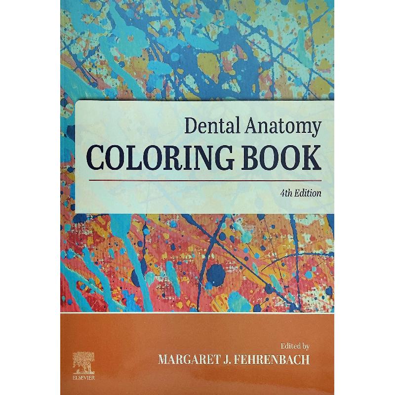 coloring book dental anatomy