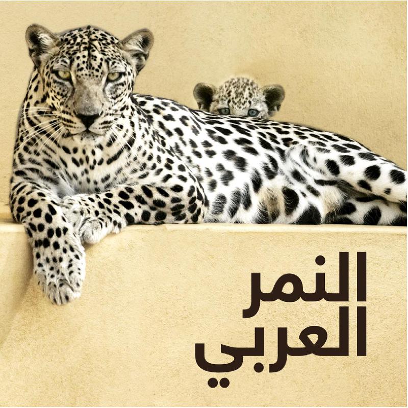 Arabian Leopard (Arabic) Staffs of Dessert Publisher - Jarir.com KSA