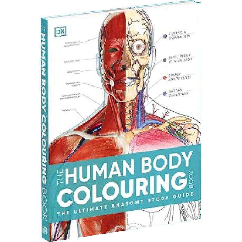 Human Body Colouring Book DK Staffs of DK (Dorling Kindersley) - مكتبة ...