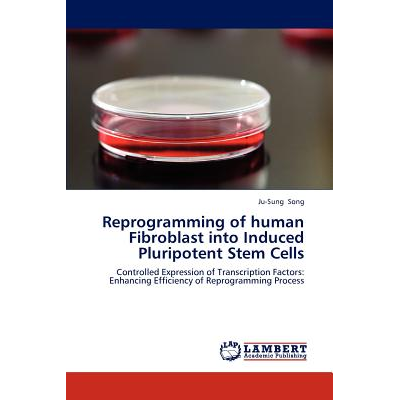 Reprogramming of Human Fibroblast Into Induced Pluripotent Stem Cells ...
