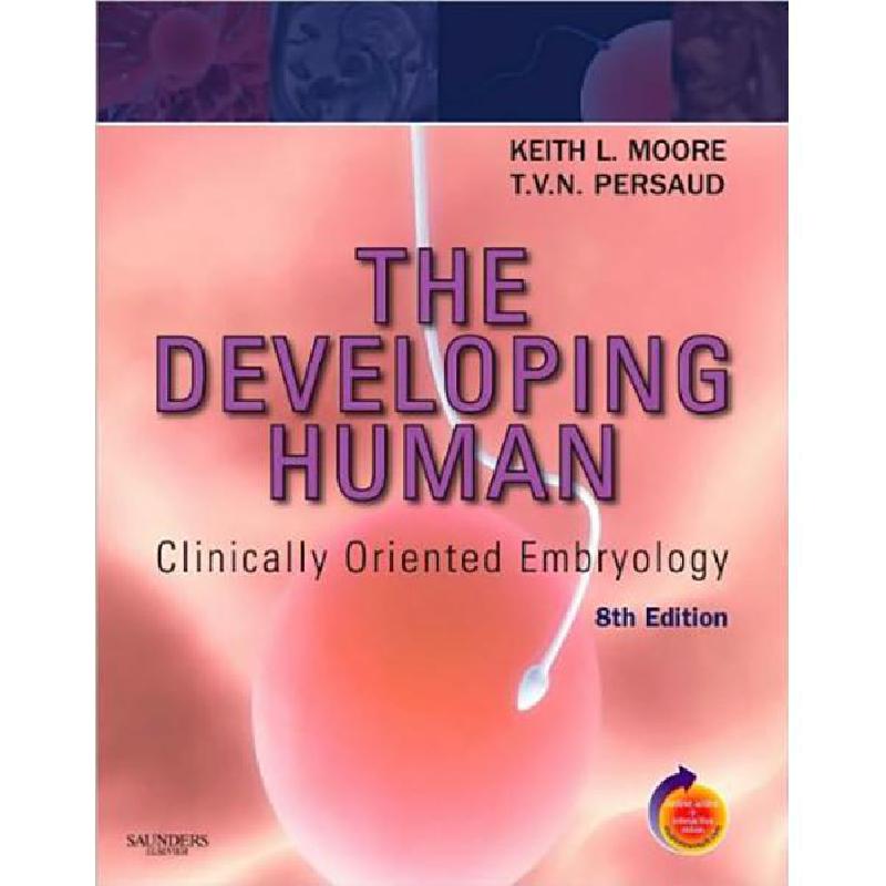 Developing Human, 8th Edition Keith Moore - مكتبة جرير السعودية