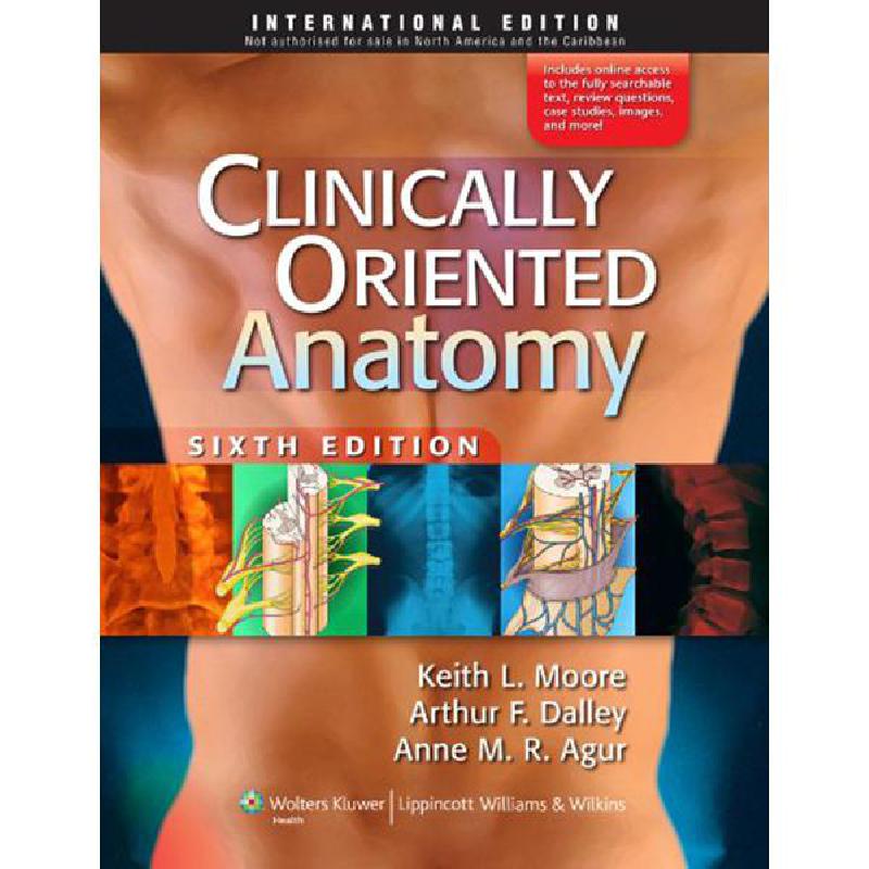 Clinically Orient Anatomy, 6th Edition Keith Moore - Jarir.com KSA