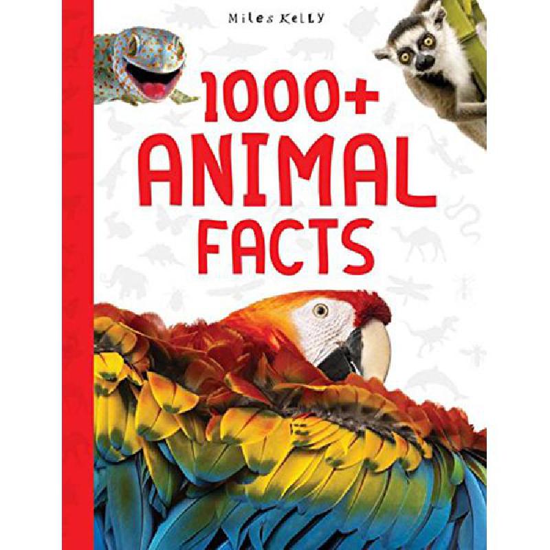 1000+ Animal Facts 1000+ Facts Staffs of Miles Kelly - Jarir.com KSA