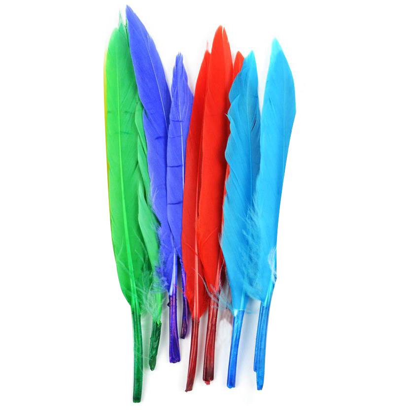 Feather 10 cm (320 Pieces), Craft Accessory, Assorted Color price in ...