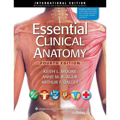 Essential Clinical Anatomy, 4th Edition Keith Moore - Jarir.com KSA