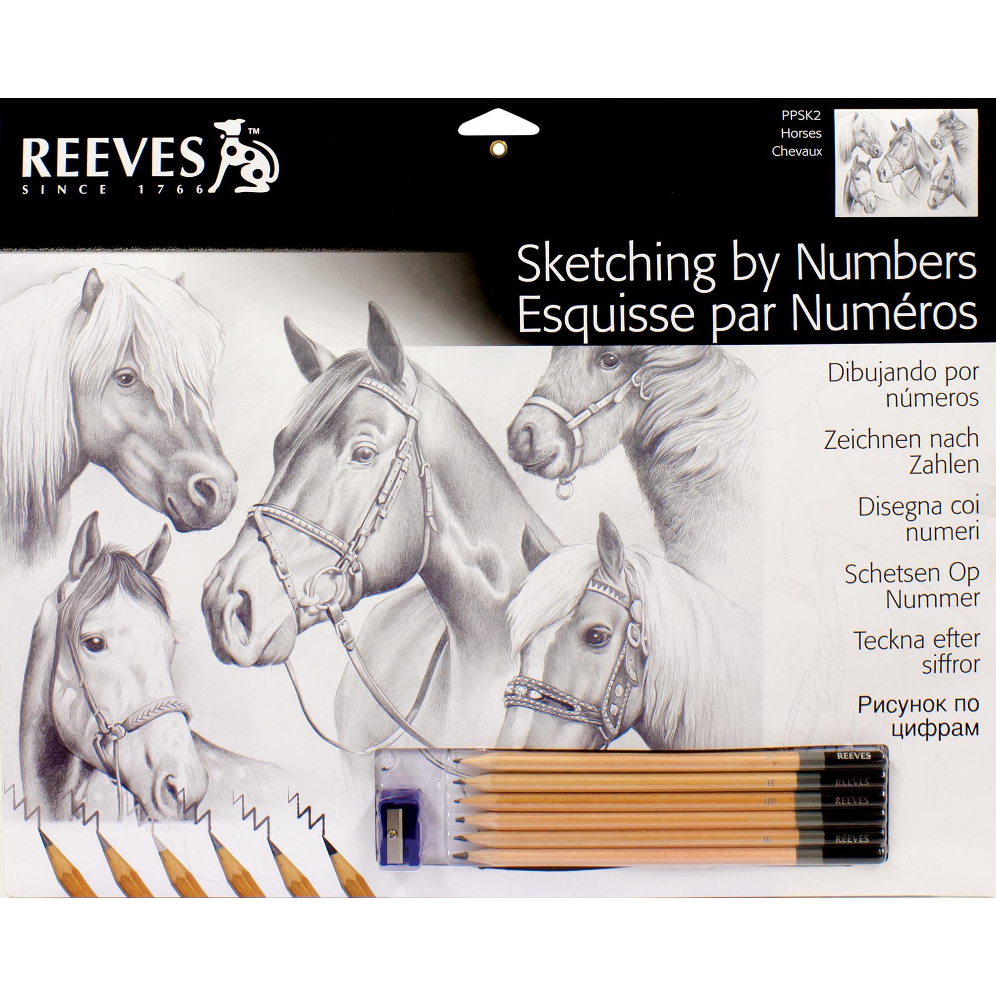 Reeves Sketch by Numbers Horses Picture Arts and Crafts Learning ...