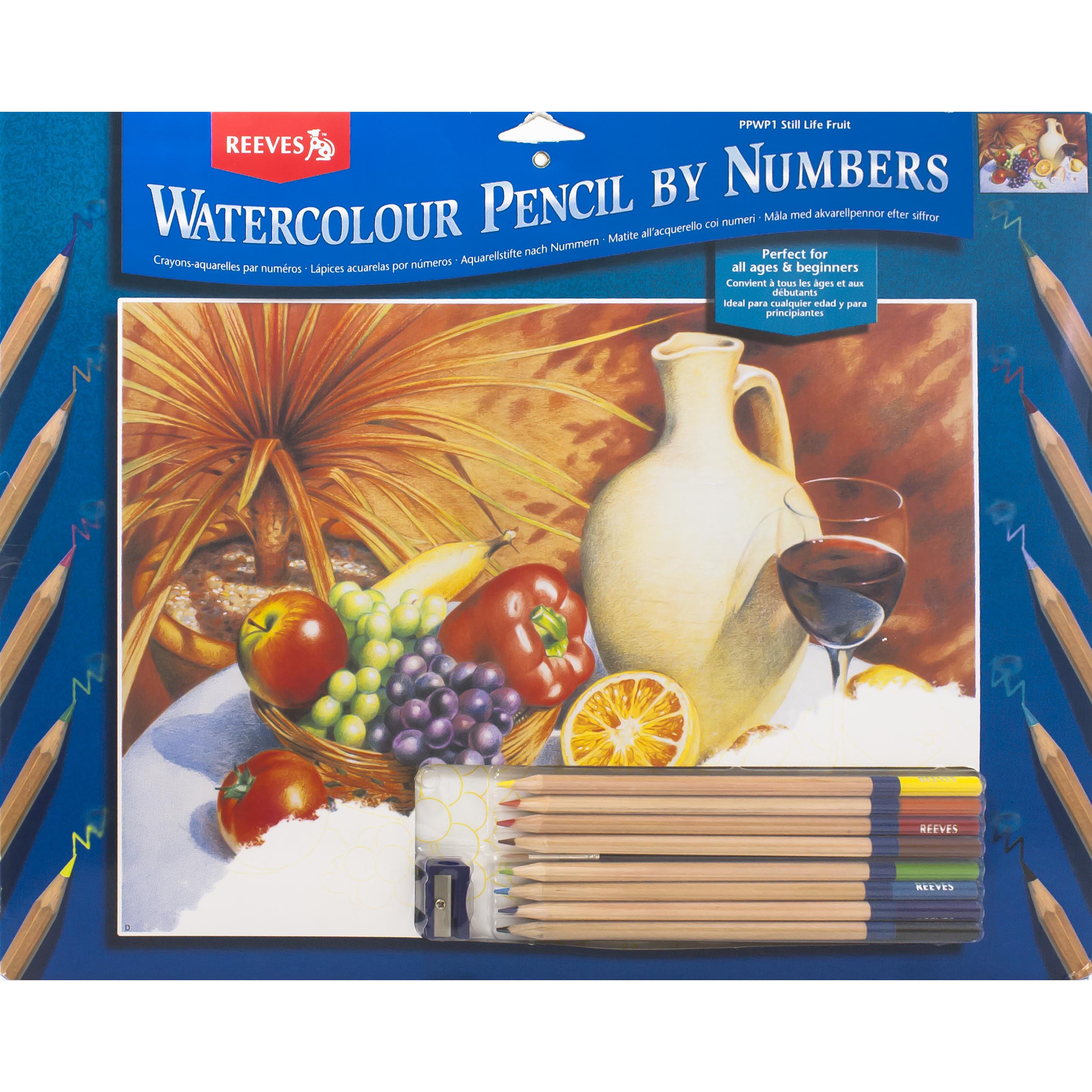 Reeves Color Pencil by Numbers Still Life Fruit Picture Coloring ...