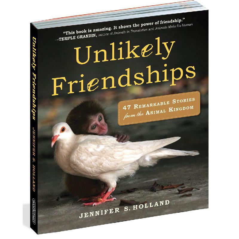 47 Remarkable Stories from The Animal Kingdom Unlikely Friendships ...