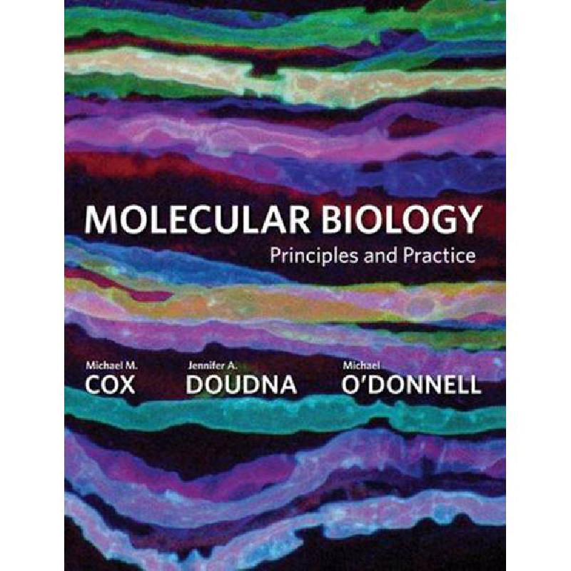Molecular Biology, 2nd Edition Michael Cox - Jarir.com KSA