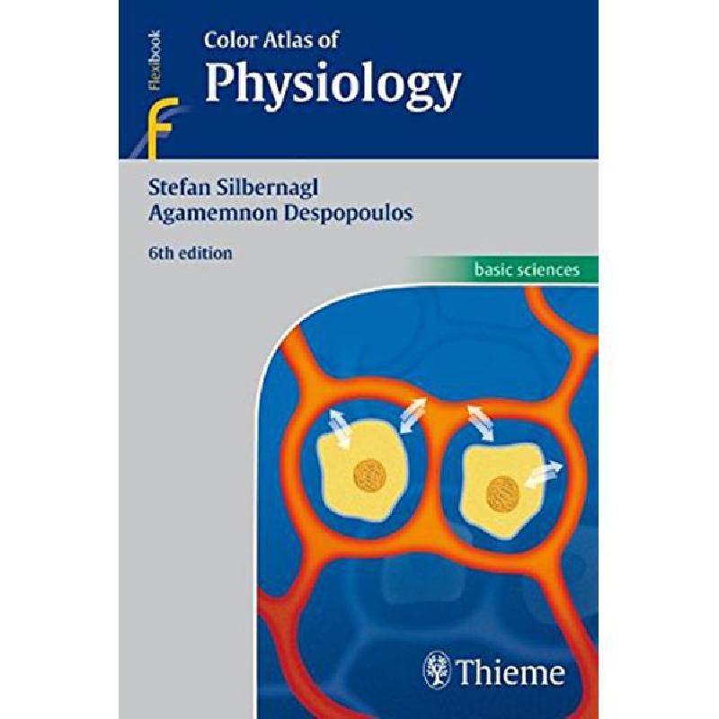 Color Atlas of Physiology, 6th Edition Thieme Stefan Silbernagl - Jarir ...