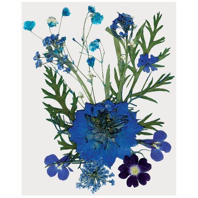 Stamperia Pressed Dried Flowers - Jarir Bookstore Qatar