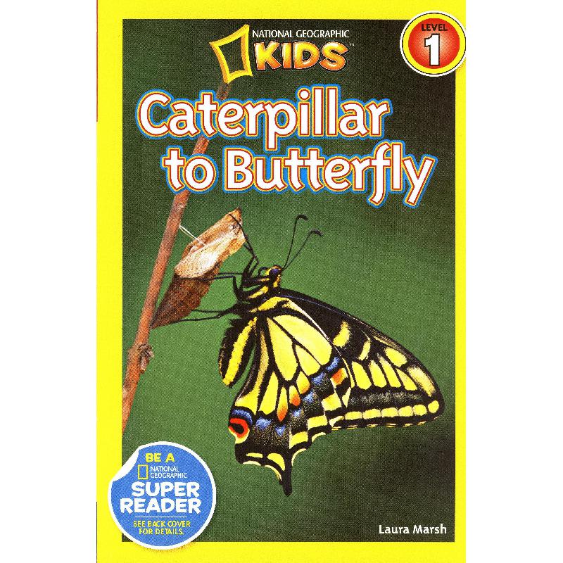 Caterpillar to Butterfly National Geographic Laura Marsh - Jarir.com KSA