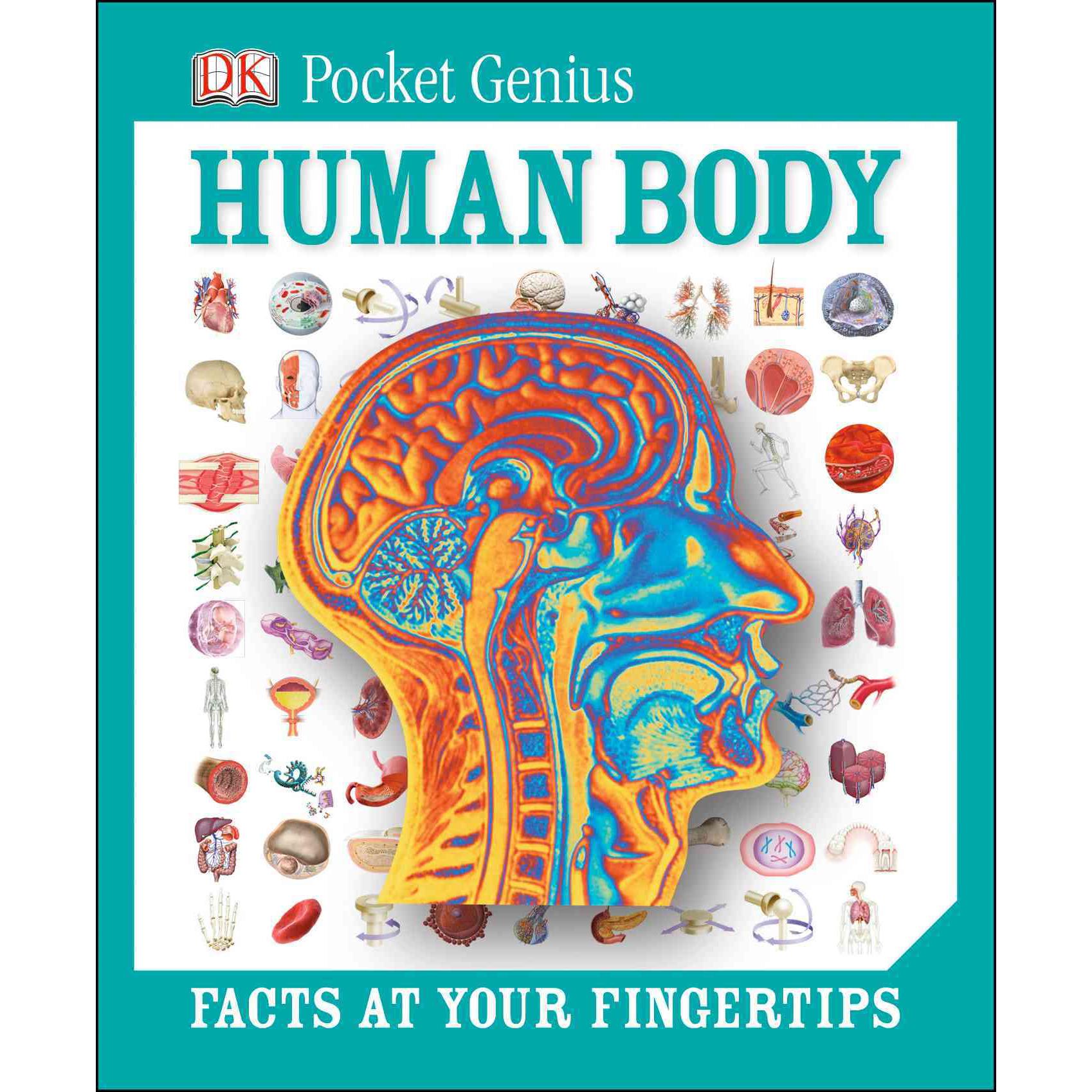 Human Body DK Pocket Genius Richard Walker - Jarir.com KSA
