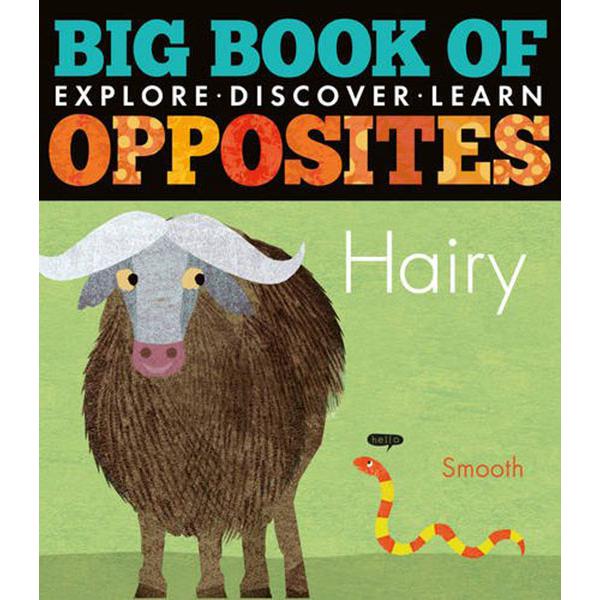 My Book of Opposites Britta Teckentrup - Jarir.com KSA