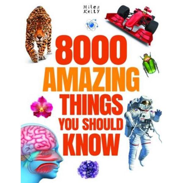 8000 Things You Should Know Staffs of Miles Kelly - Jarir.com KSA