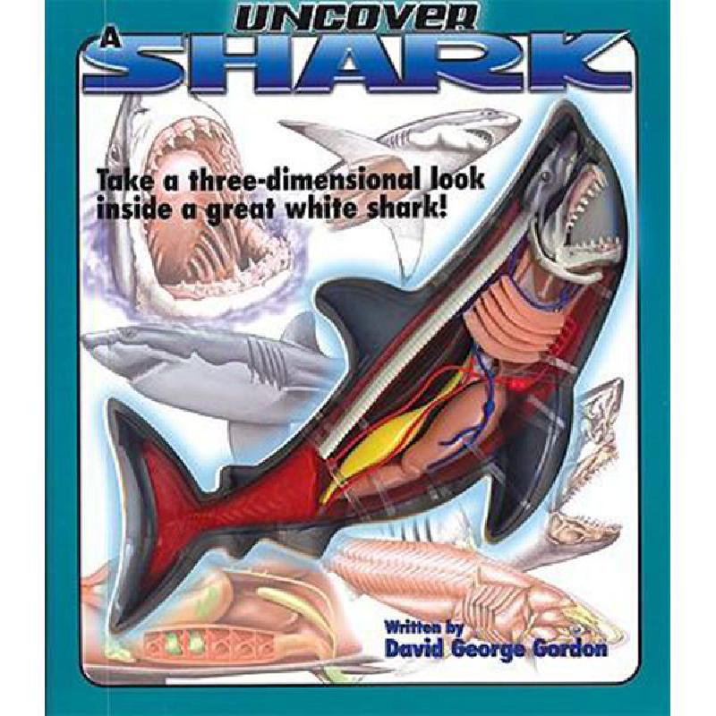 Uncover a Shark Uncover Books David George Gordon - Jarir.com KSA
