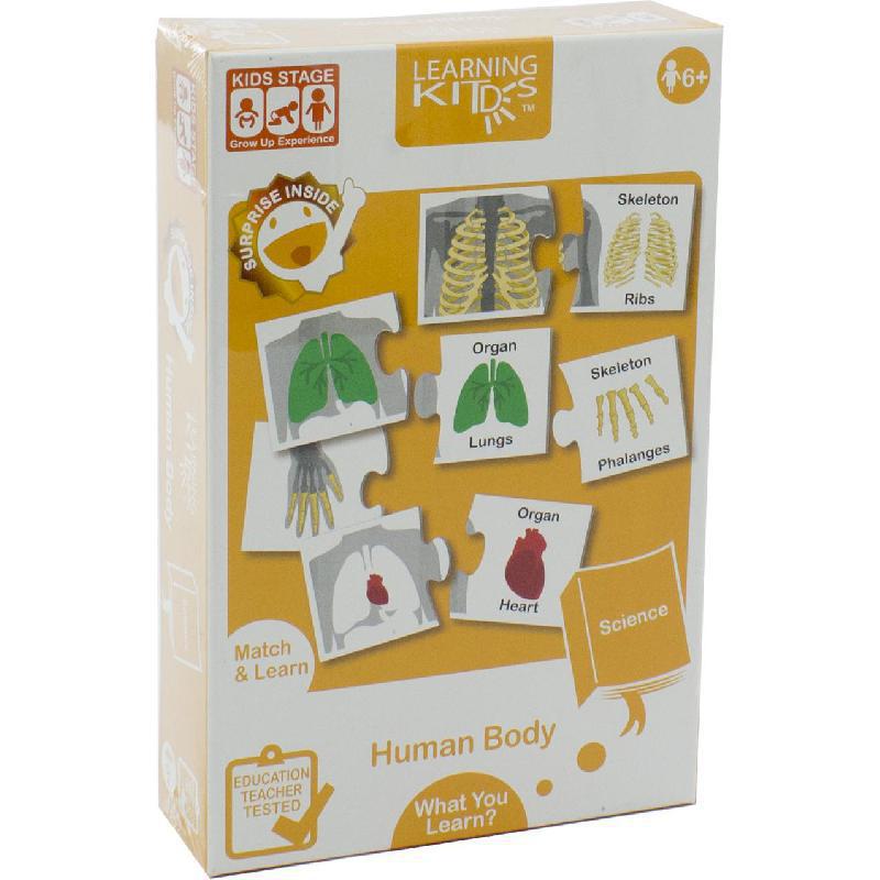 Learning Kids Match & Learn Human Body Mix & Match 25 Pieces - Jarir ...