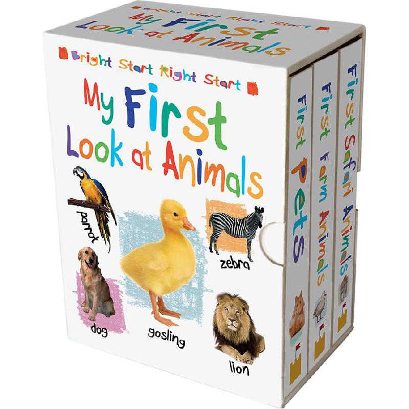 My First Look at Animals Bright Start, Right Start - Jarir.com KSA