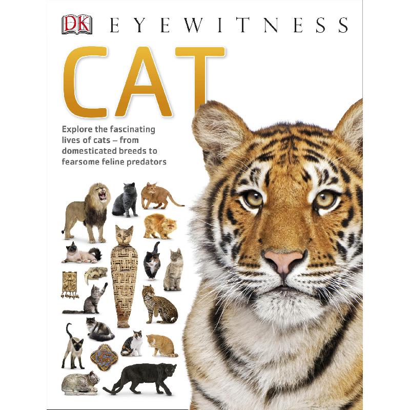 Cat DK Eyewitness Staffs of DK (Dorling Kindersley) - Jarir.com KSA