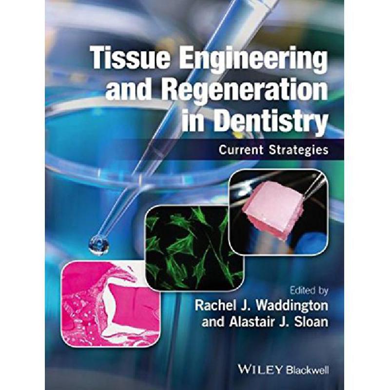 Tissue Engineering and Regeneration in Dentistry Rachel Waddington ...
