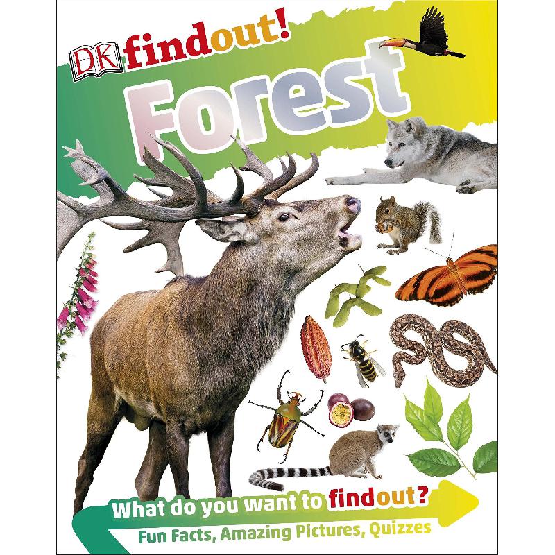 Forest DK Find Out! Staffs of DK (Dorling Kindersley) - مكتبة جرير السعودية