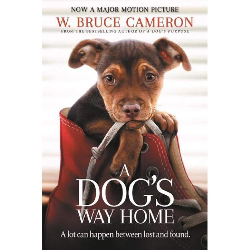 Dog's Way Home Movie Tie-In Edition W. Bruce Cameron - Jarir.com KSA