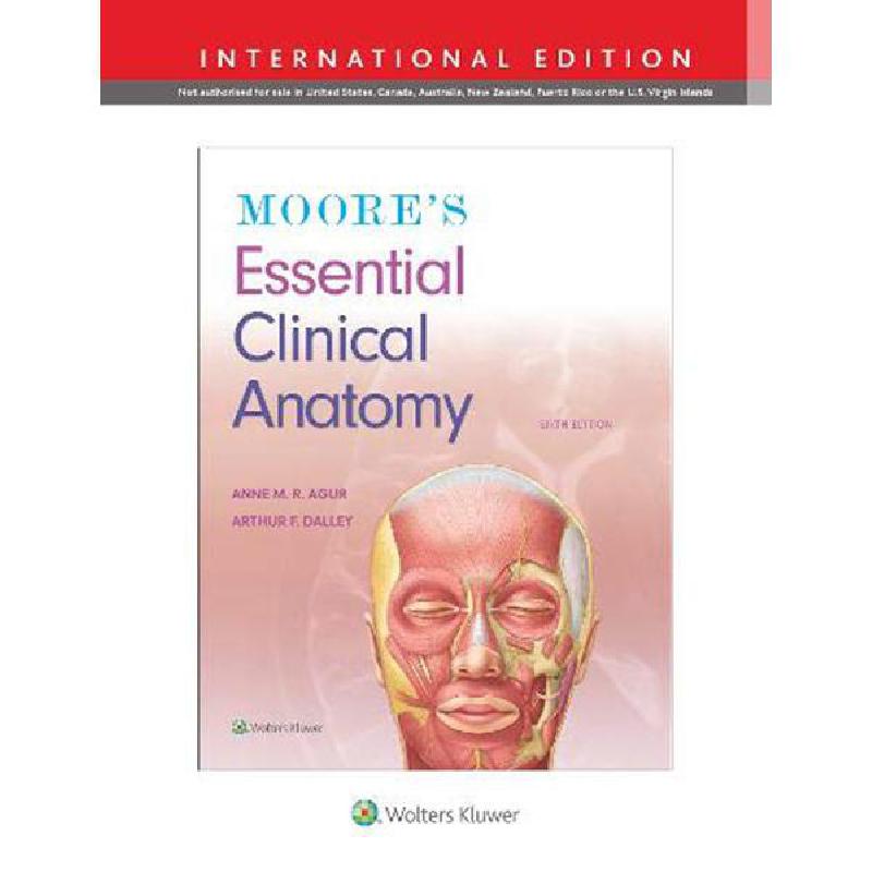Essential Clinical Anatomy, 6th Edition Anne Agur - Jarir.com KSA