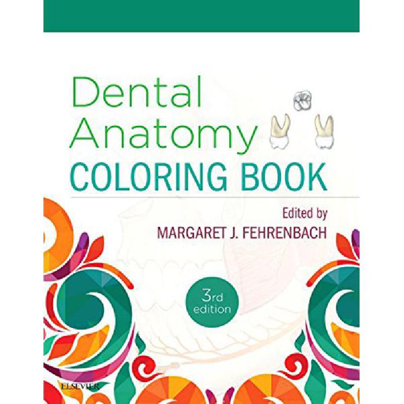 Dental Anatomy, Coloring Book, 3rd Edition Margaret Fehrenbach - Jarir ...