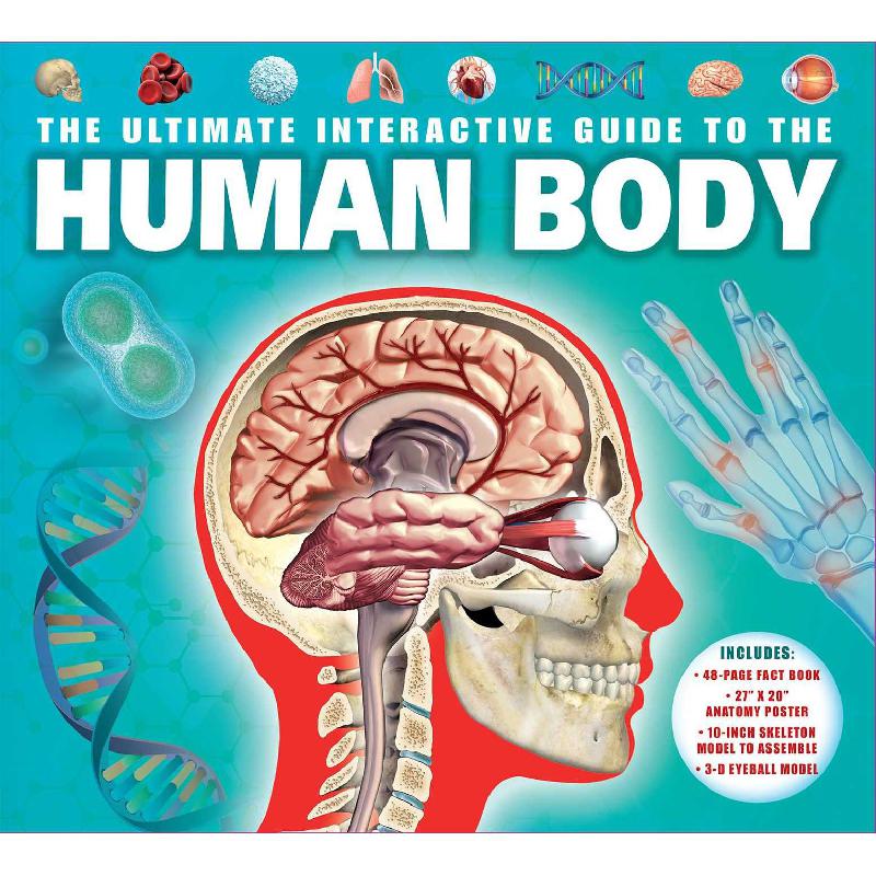 Human Body Ultimate Interactive Guide Camilla de la Bedoyere - Jarir ...