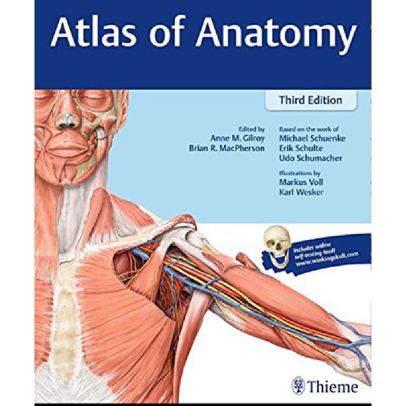 Atlas of Anatomy, 3rd Edition Anne Gilroy - Jarir.com KSA