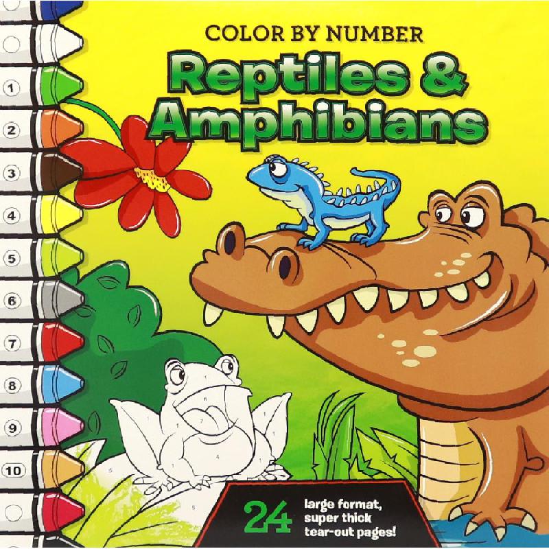 Reptiles & Amphibians Color by Numbers Mike Polito - Jarir.com KSA