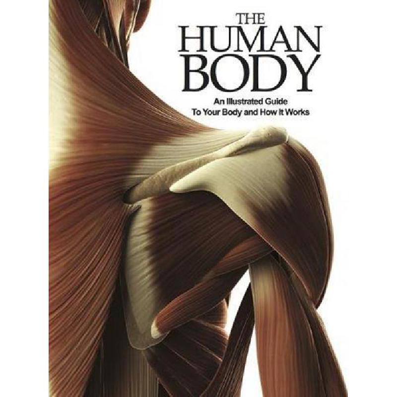 Human Body Peter Abrahams - Jarir.com KSA